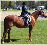 Victory Stables, Inc.