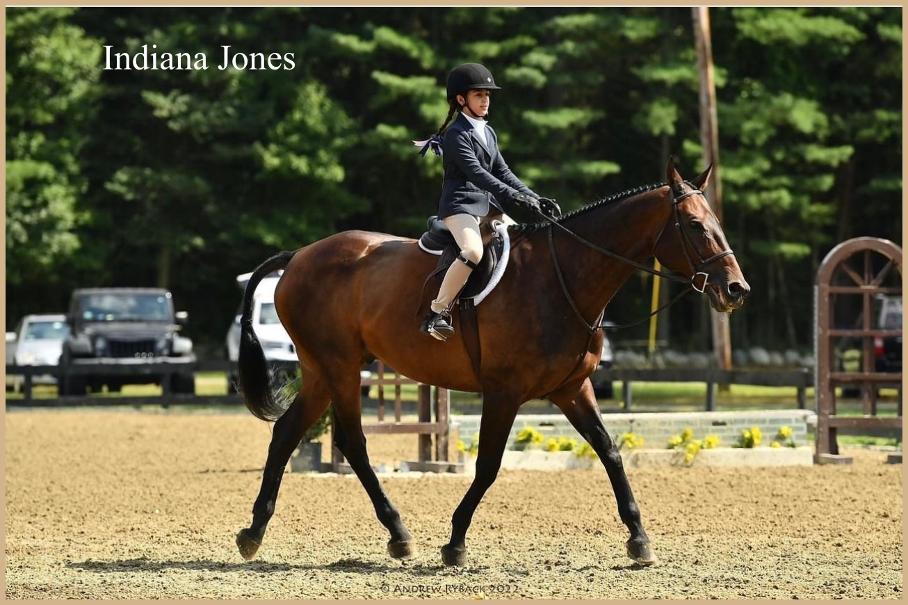 Victory Stables, Inc. Current Sales List